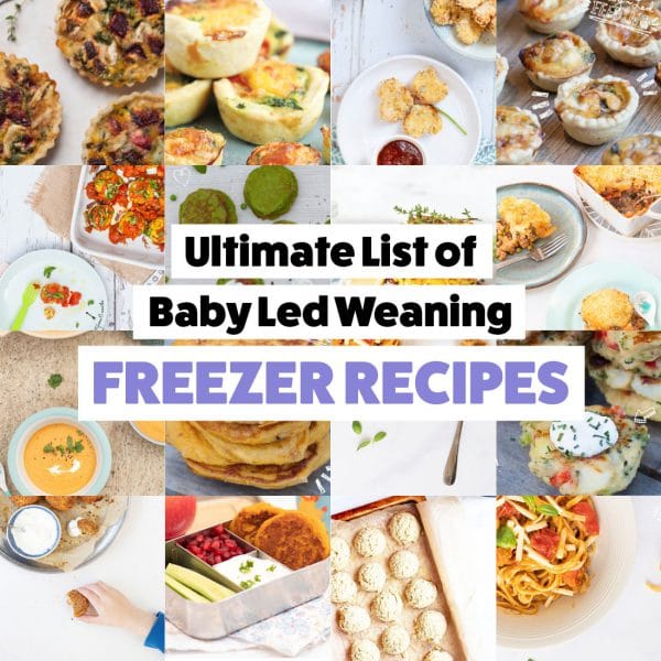 20 Easy Vegan Baby Led Weaning Recipes to Start Your BLW Journey ...